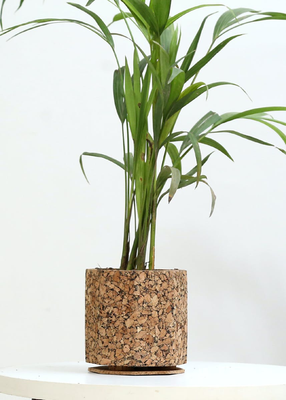 Natural Cork Planter
