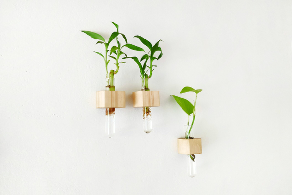 Floating wall planter
