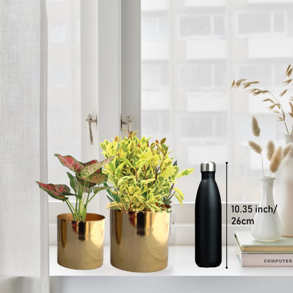 Grace Gold Metal Pot