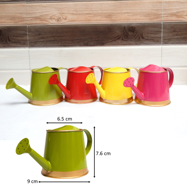 Ecofynd Light Green Watering Can for Kids 250 ml