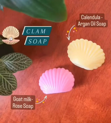 Gorgeous Clam Soap