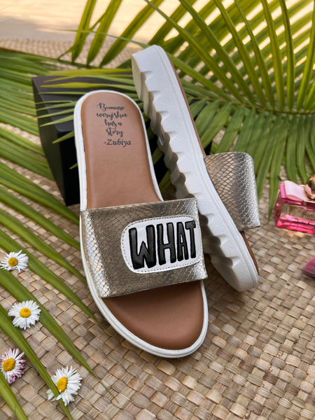 whatever silver snake slides