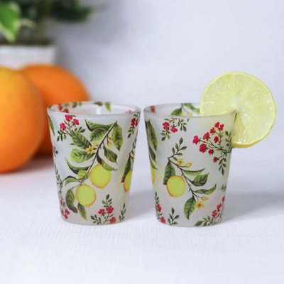 Zesty Lemon Frosted Shot Glasses - Set of 4
